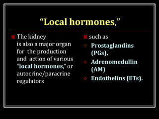RENAL HORMONES.pptx