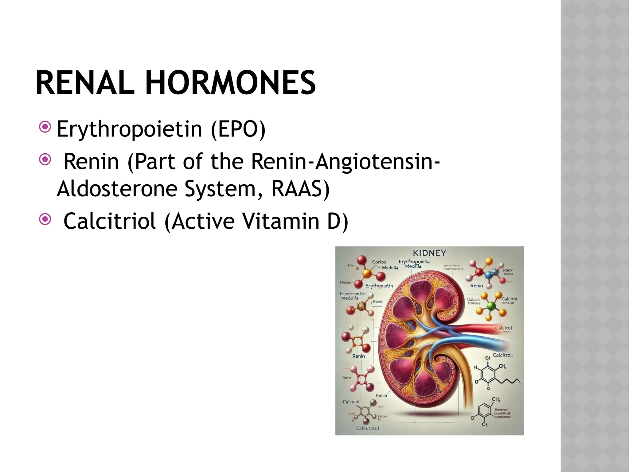 Renal Hormones in Homeostasis (2)-1.pptx