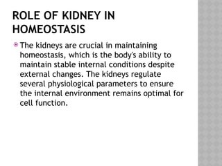Renal Hormones in Homeostasis (2)-1.pptx
