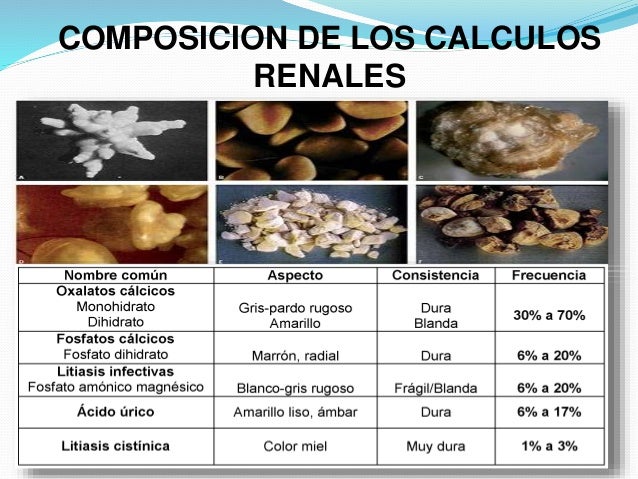Renal I