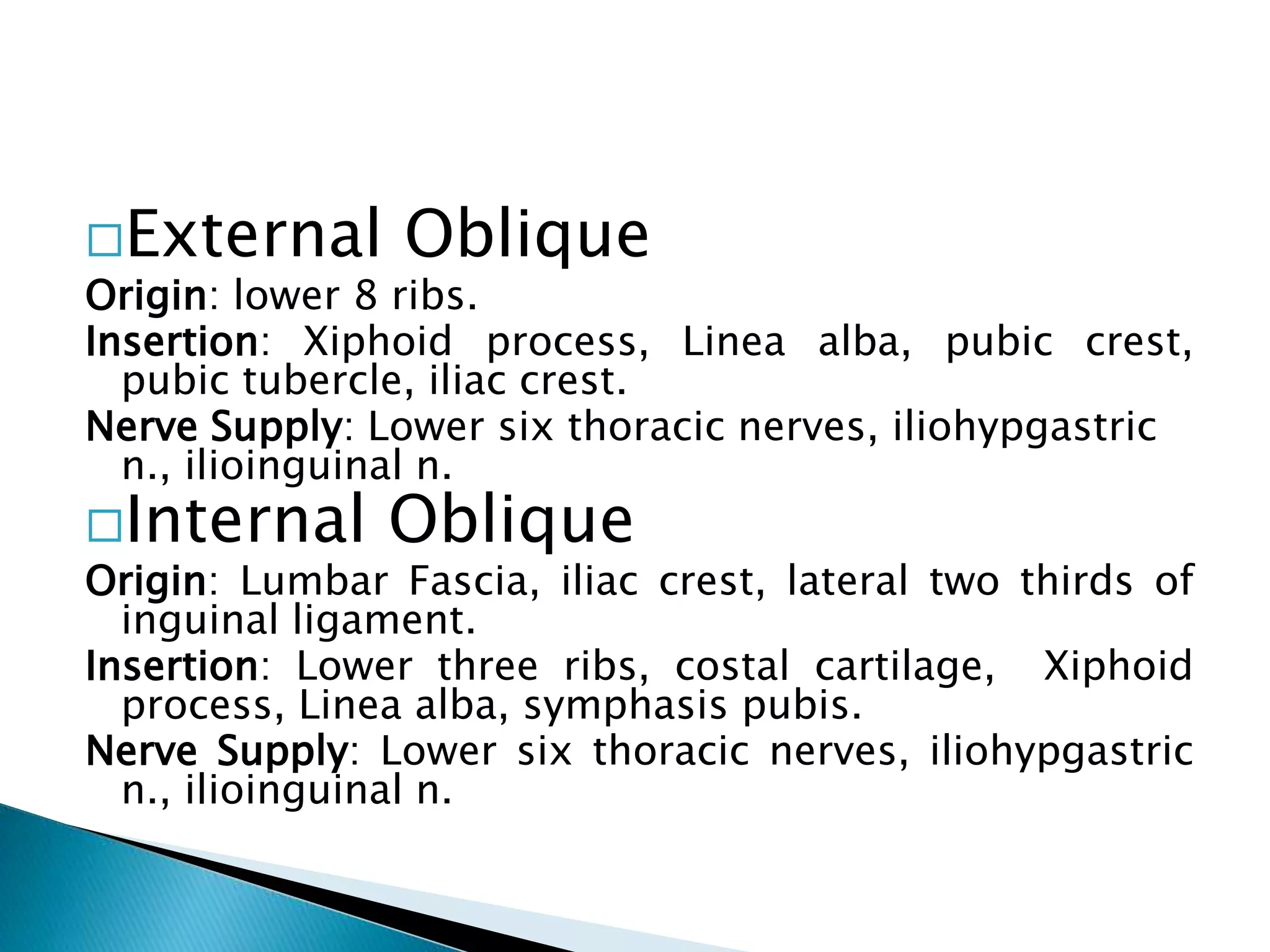 Renal incision | PPTX