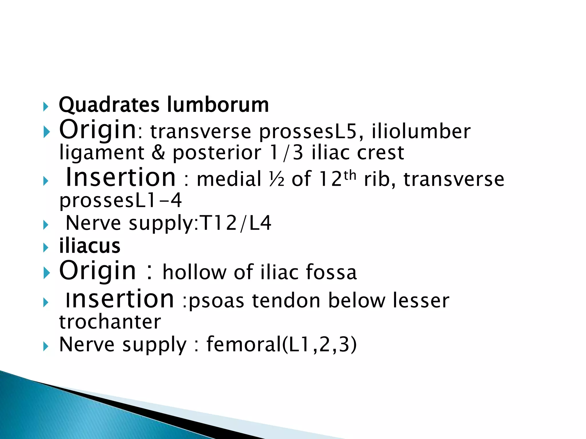 Renal incision | PPTX