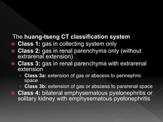 Renal infections radiology | PPTX