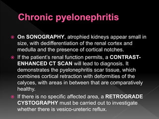 Chronic Pyelonephritis Ultrasound