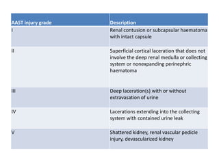 Renal injury-RADIOLOGY | PPTX