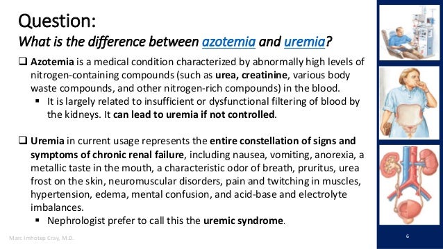 Uremia Vs Azotemia
