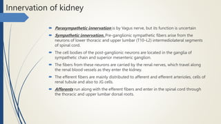 Renal intro, blood flow JGA & RAS.pptx