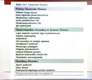 Renal introduction Sayak Biswas sir.pdf