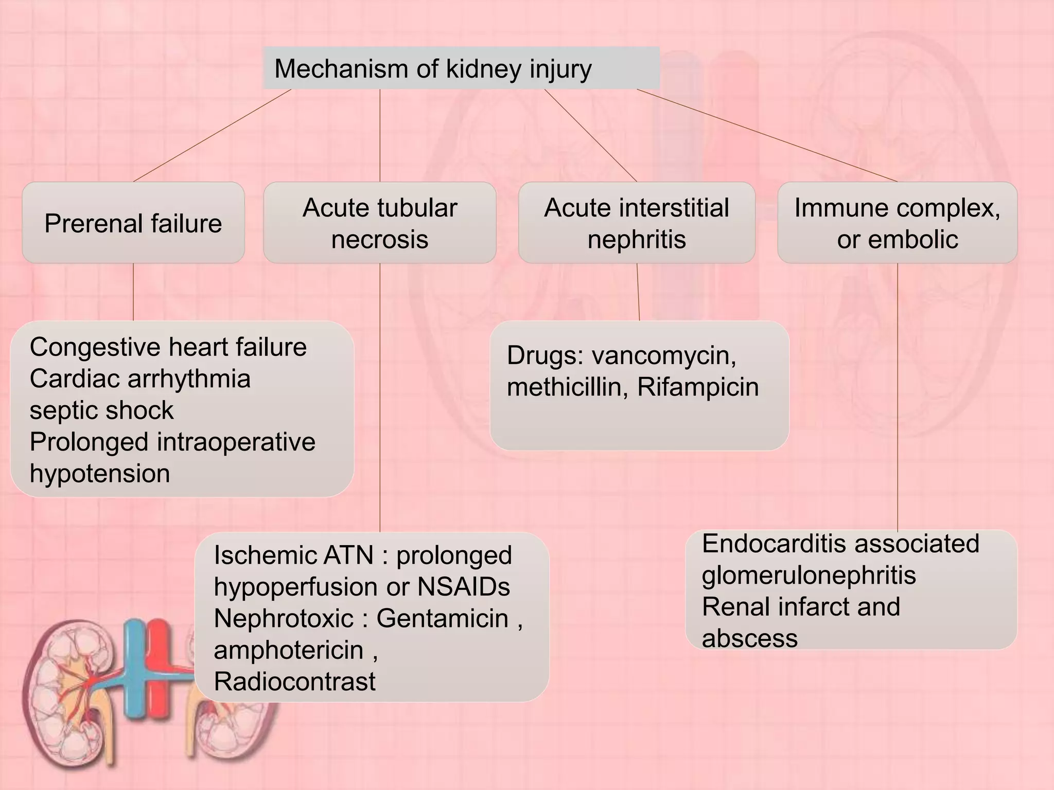 Renal involvement with infective endocarditis | PPTX
