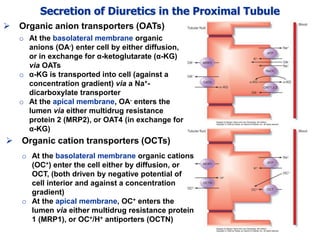 Renal lecture 1 and 2 2017 18_jap | PPT