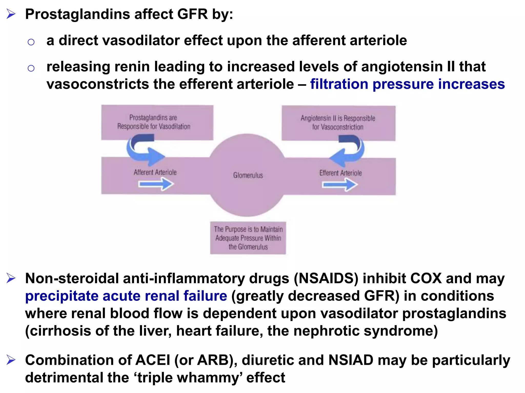 Renal lecture 3 2017 18_jap | PPTX