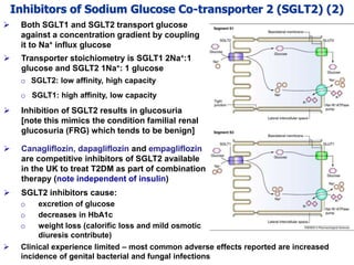 Renal lecture 3 2017 18_jap | PPT