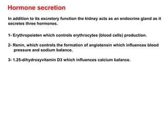 dr fawzy lecture 13 | PPT