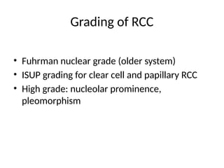 Renal_Malignant_Tumors_Pathology_PPT.pptx