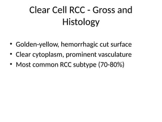 Renal_Malignant_Tumors_Pathology_PPT.pptx
