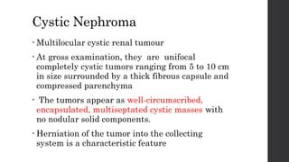 IMAGING IN RENAL MASSES. ...........pptx