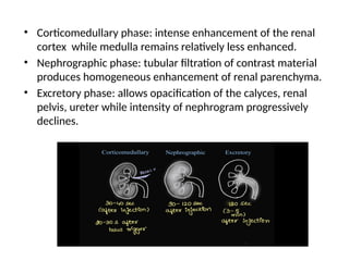 Renal Mass Evaluation renal pathology .pptx