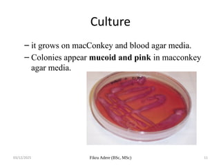 renal module.pptx microbiology of renal module | PPTX