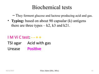 renal module.pptx microbiology of renal module | PPTX