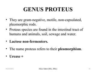 renal module.pptx microbiology of renal module | PPTX
