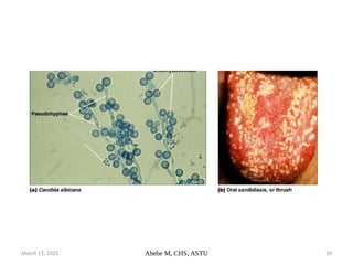 renal module.pptx microbiology of renal module | PPTX
