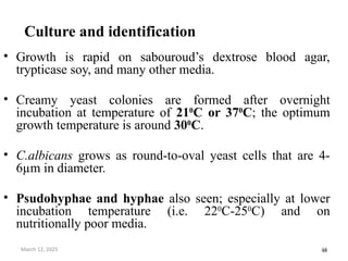 renal module.pptx microbiology of renal module | PPTX