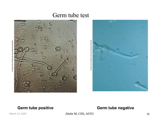renal module.pptx microbiology of renal module | PPTX