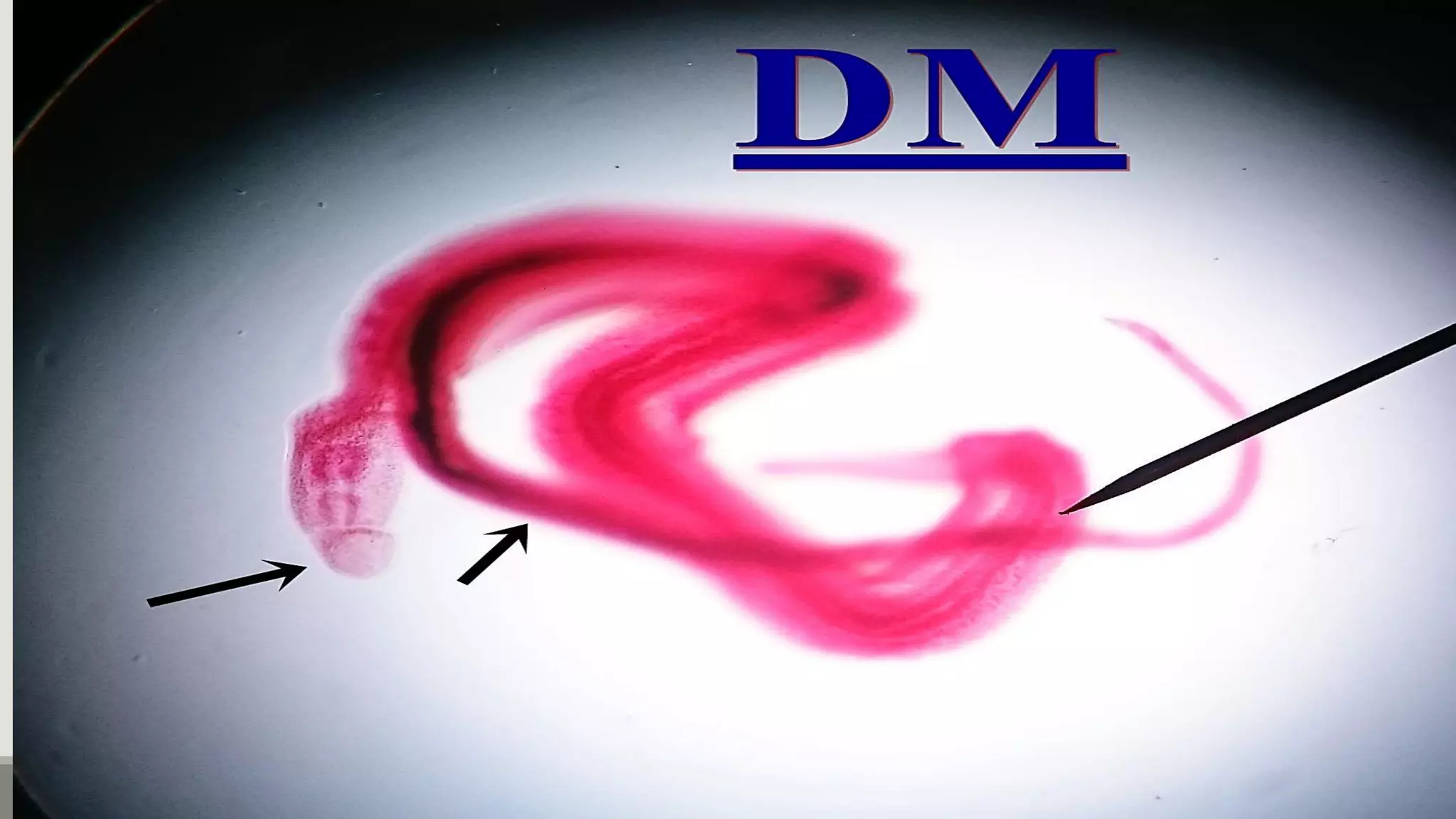 renal module 2022.pdf