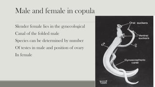 renal module 2022.pdf