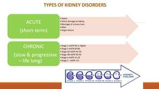 RENAL NUTRITION AND DIALYSIS.pptx nutrional biochemistry | PPTX