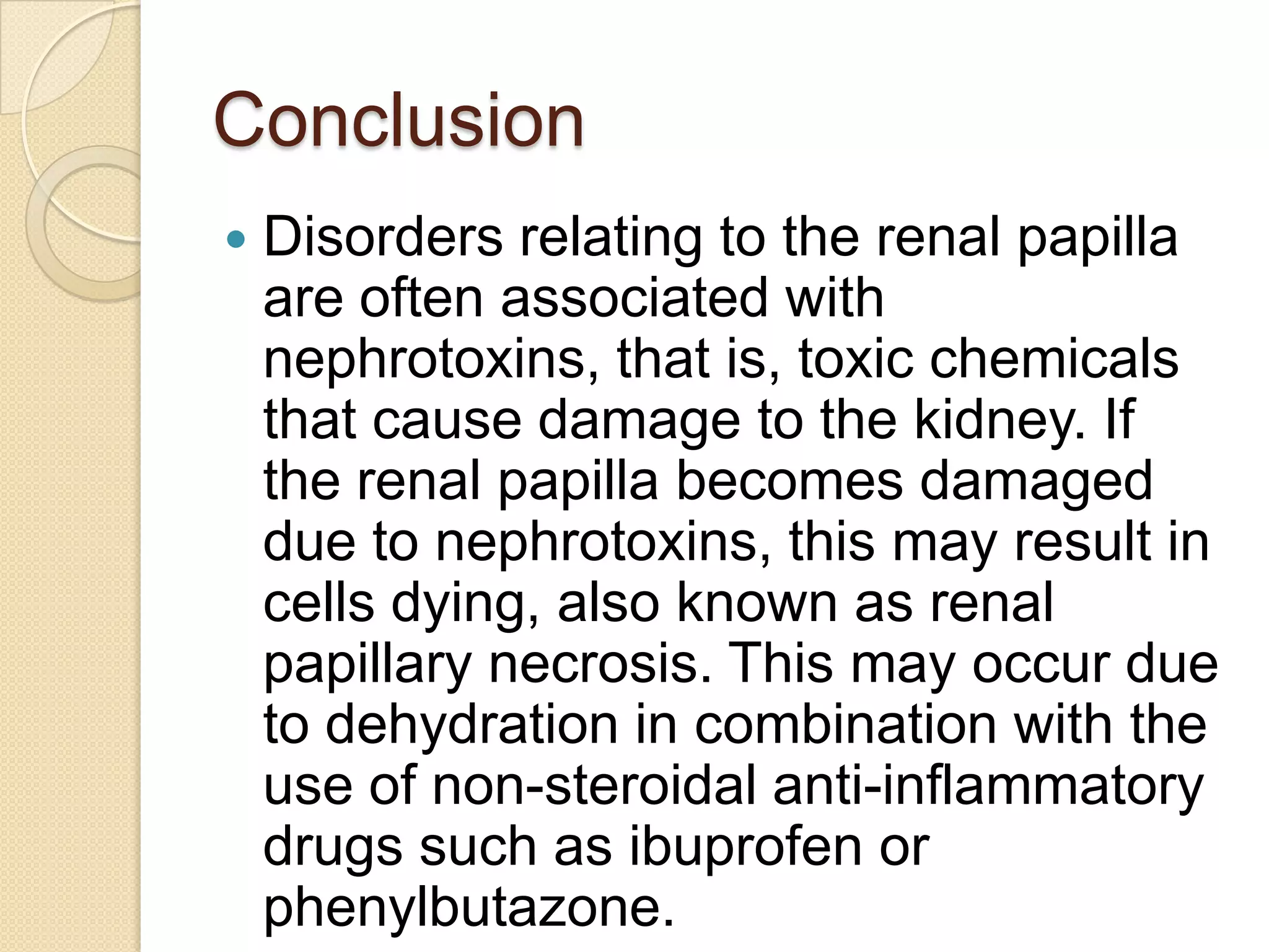 Renal Papilla Function | PPTX