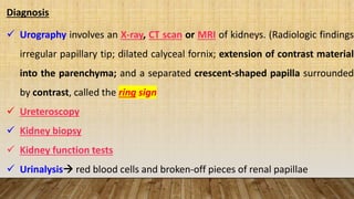 Renal Papillary Necrosis Ring Sign