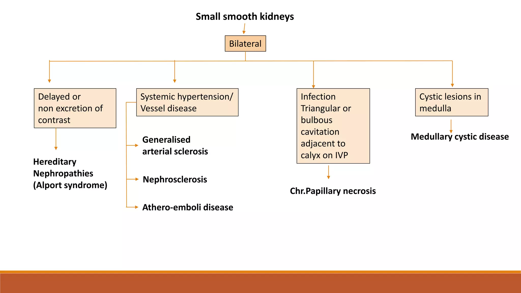 Renal Parenchymal Dieases.pptx