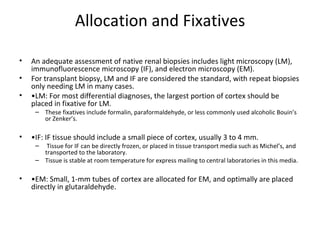 Introduction to Renal Pathology | PPT