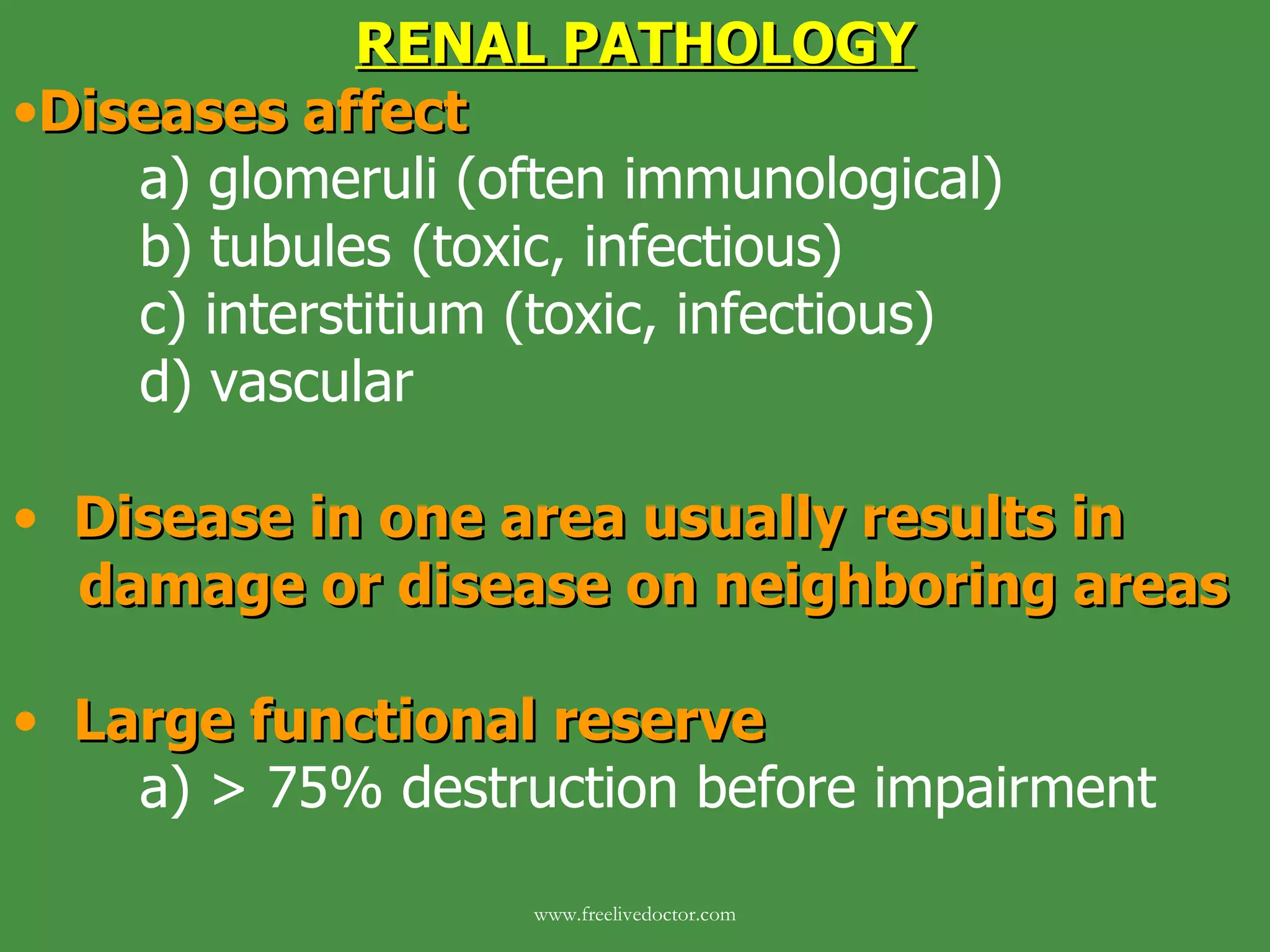 Renal pathology | PPT