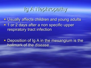 Renal pathology | PPT