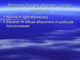 Renal pathology | PPT