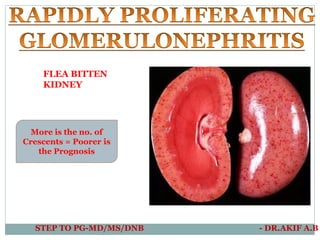 Renal pathology | PDF