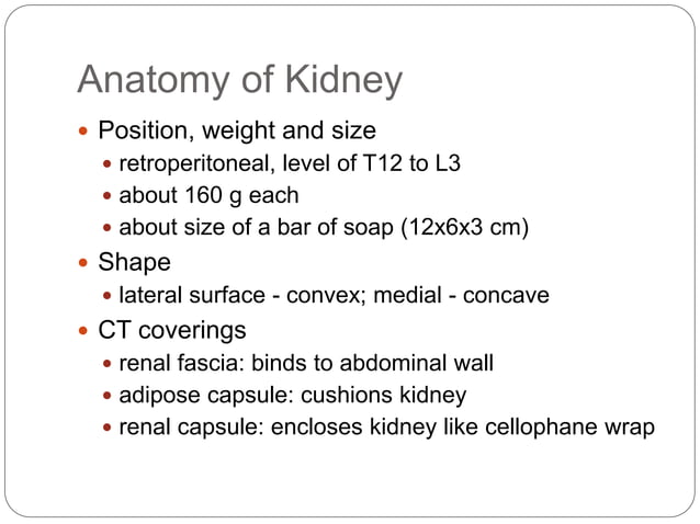 Renal_Pathology in the human pathology of the kidney | PPT