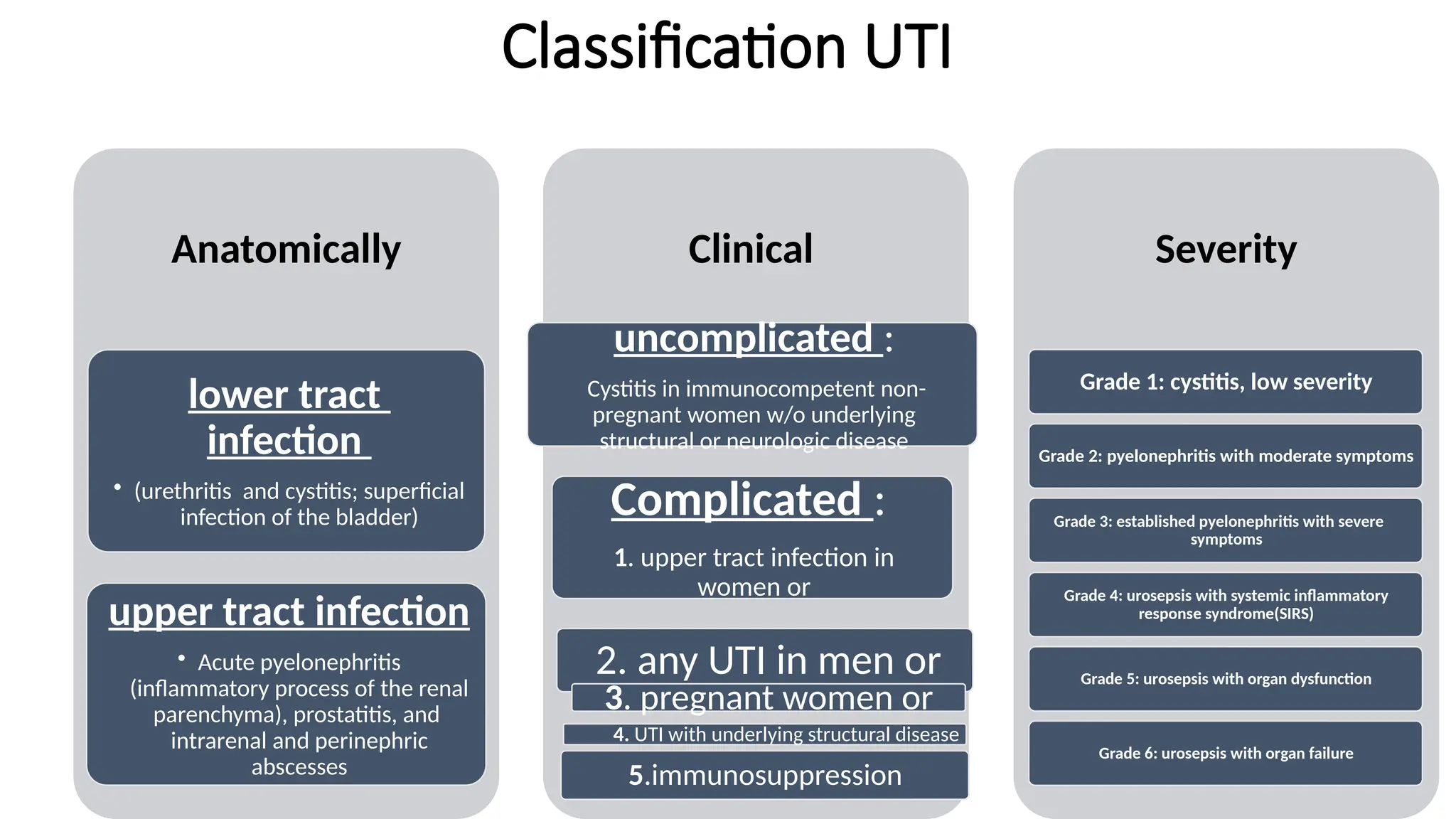 The presentation is about common renal disease that leads to acute ...