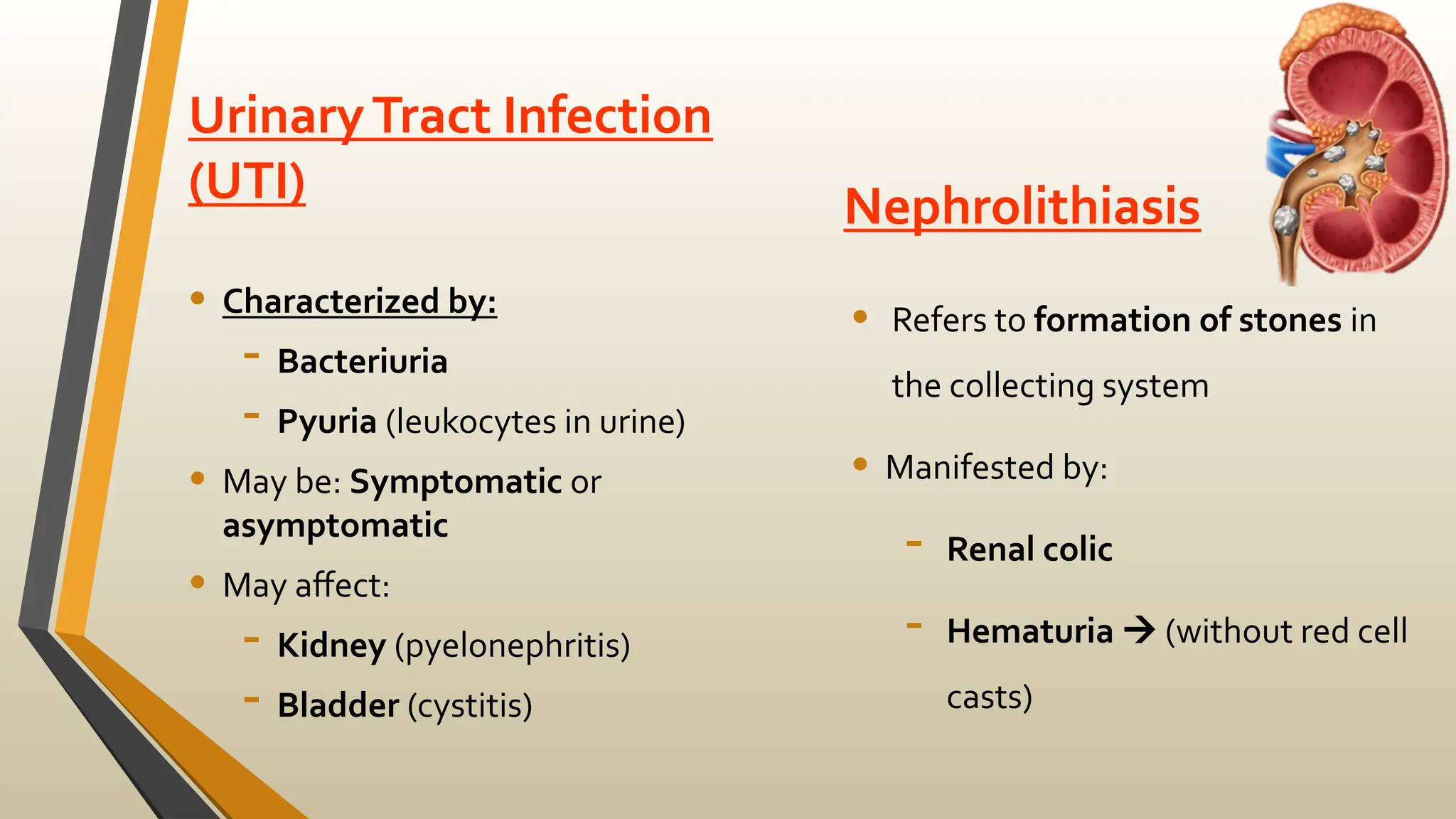 Renal Pathology.pdfvdsdsdsdsdsdsdsdsdsdsdsdsdsdsds | PDF