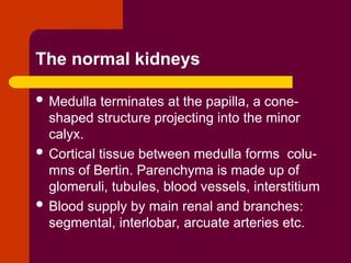 Renal Pathology with detailed anatomy of kidney | PPT