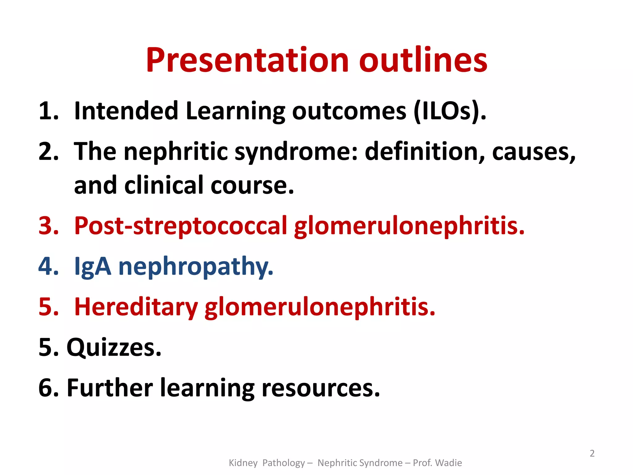 Renal pathology the nephritic syndrome- prof wadie | PPTX