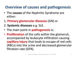 Renal pathology the nephritic syndrome- prof wadie | PPTX