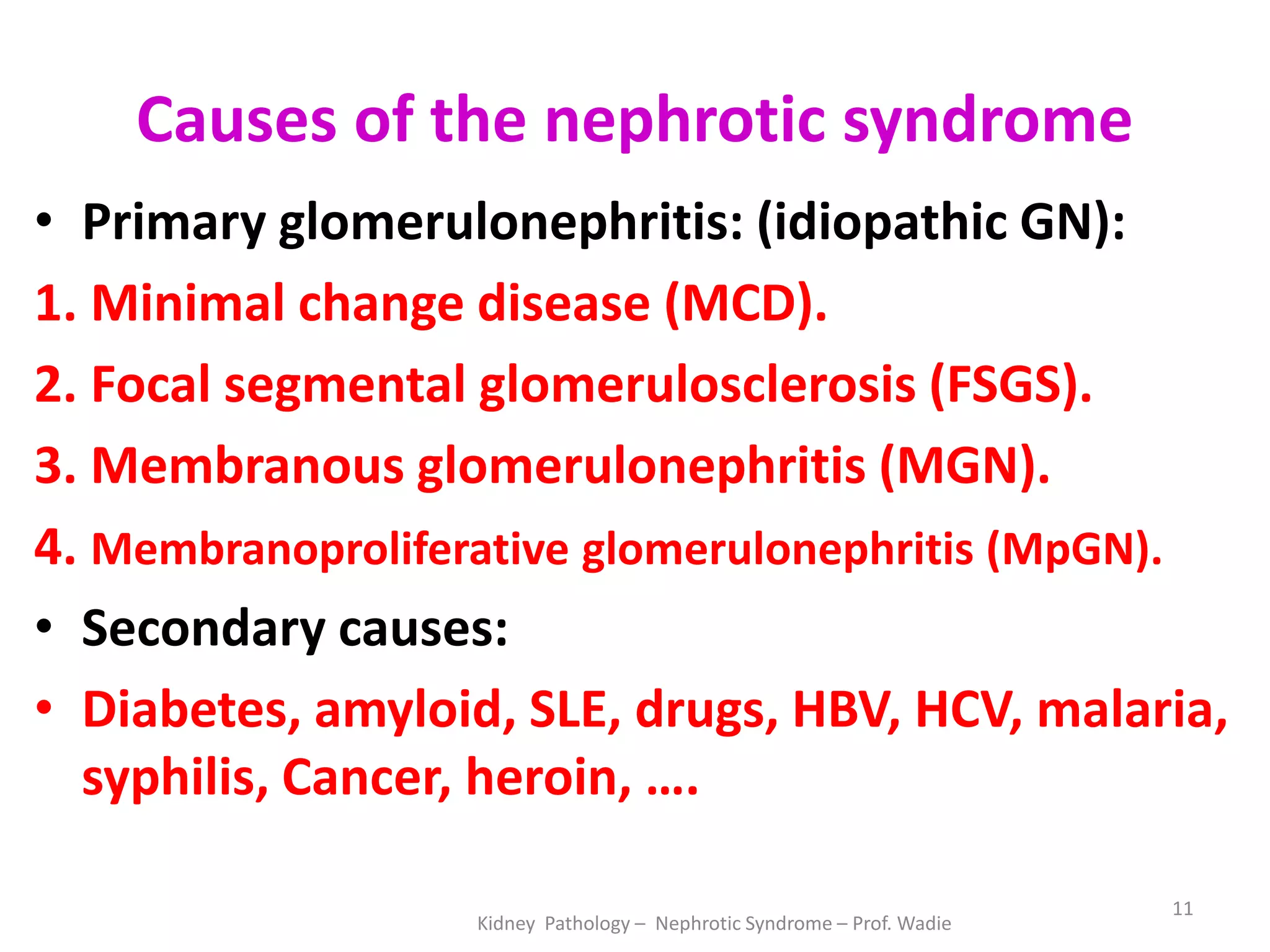 Renal pathology the nephrotic syndrome- prof wadie | PPTX