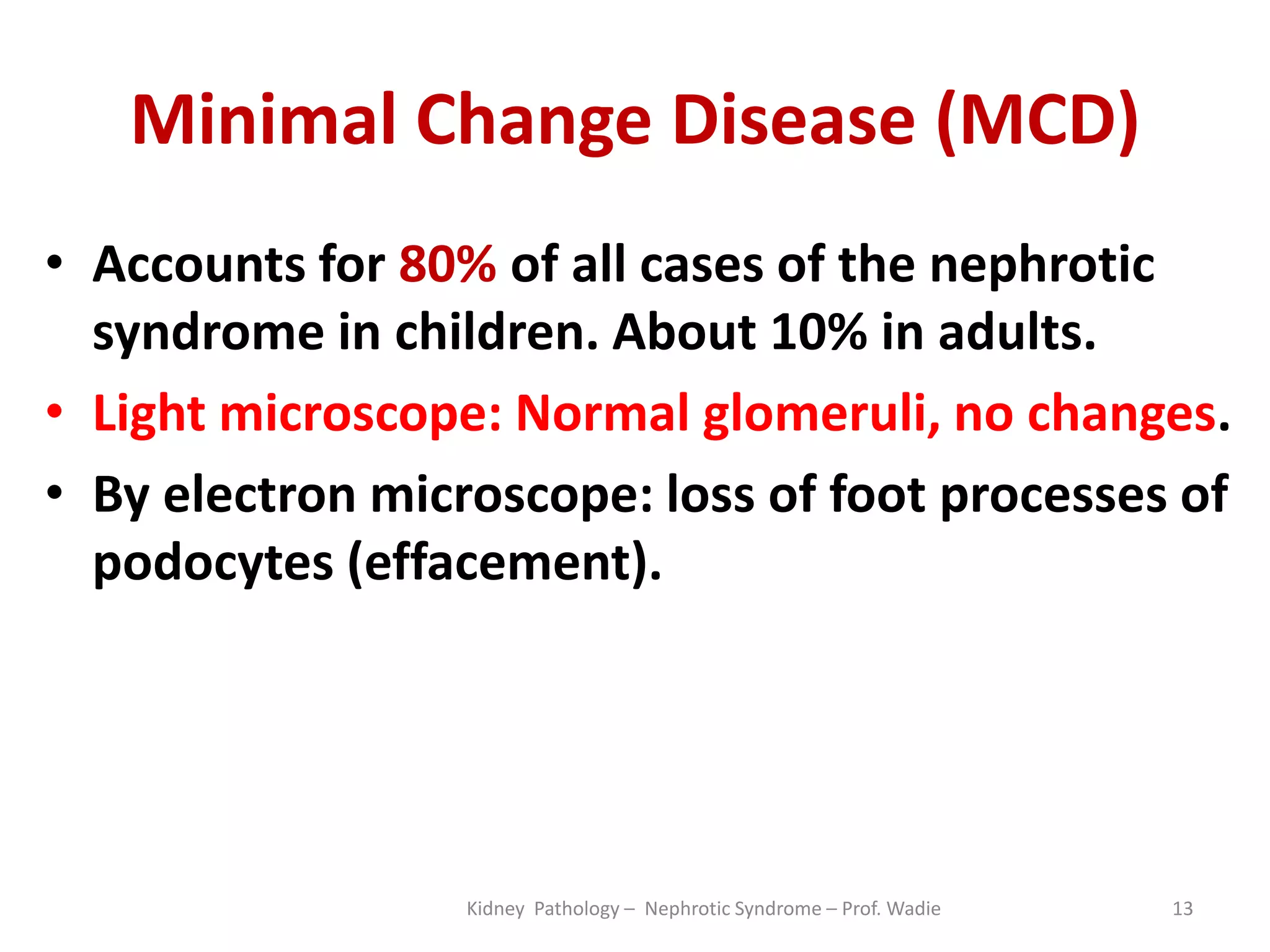 Renal pathology the nephrotic syndrome- prof wadie | PPTX | Diseases ...