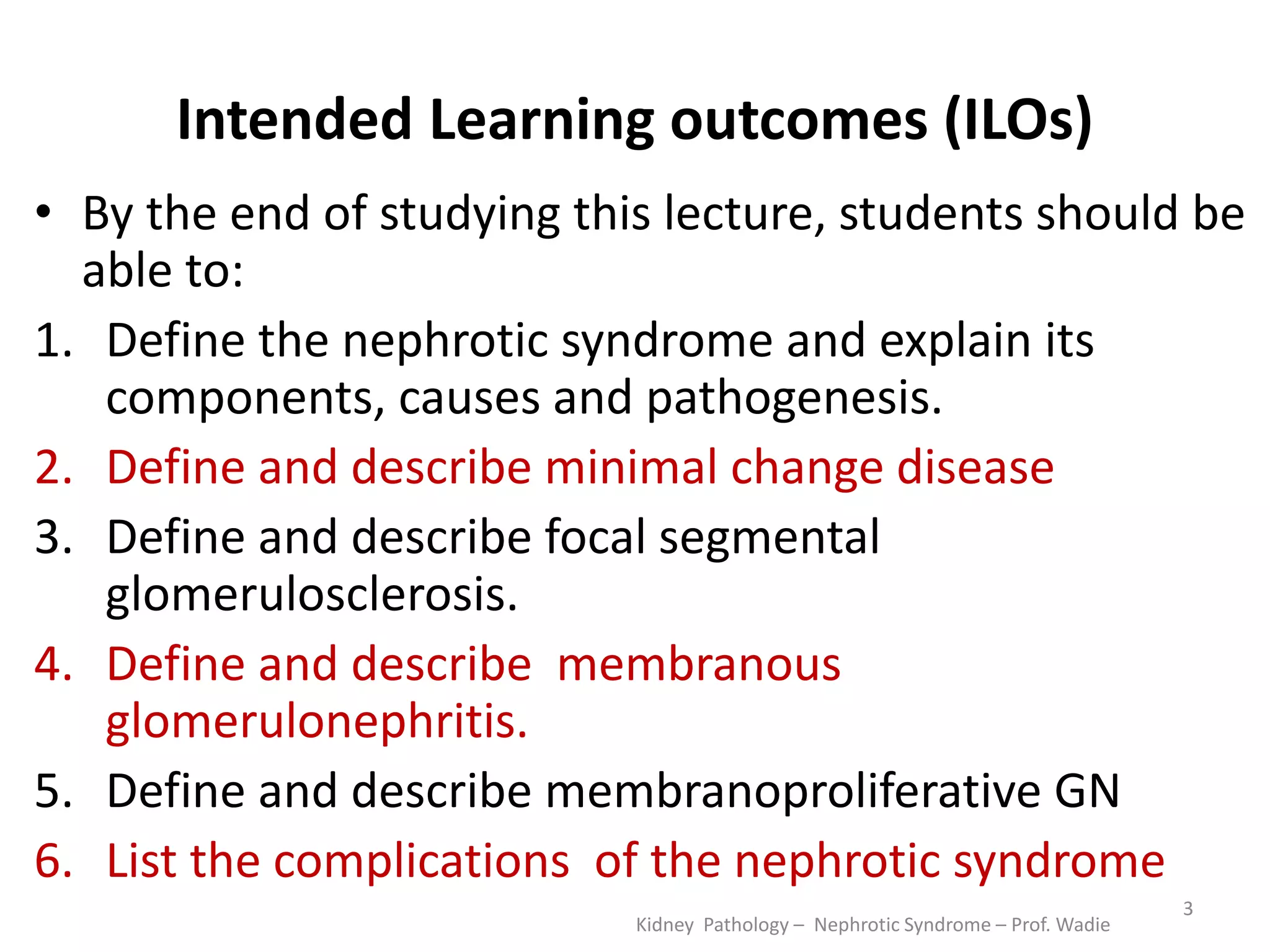 Renal pathology the nephrotic syndrome- prof wadie | PPTX