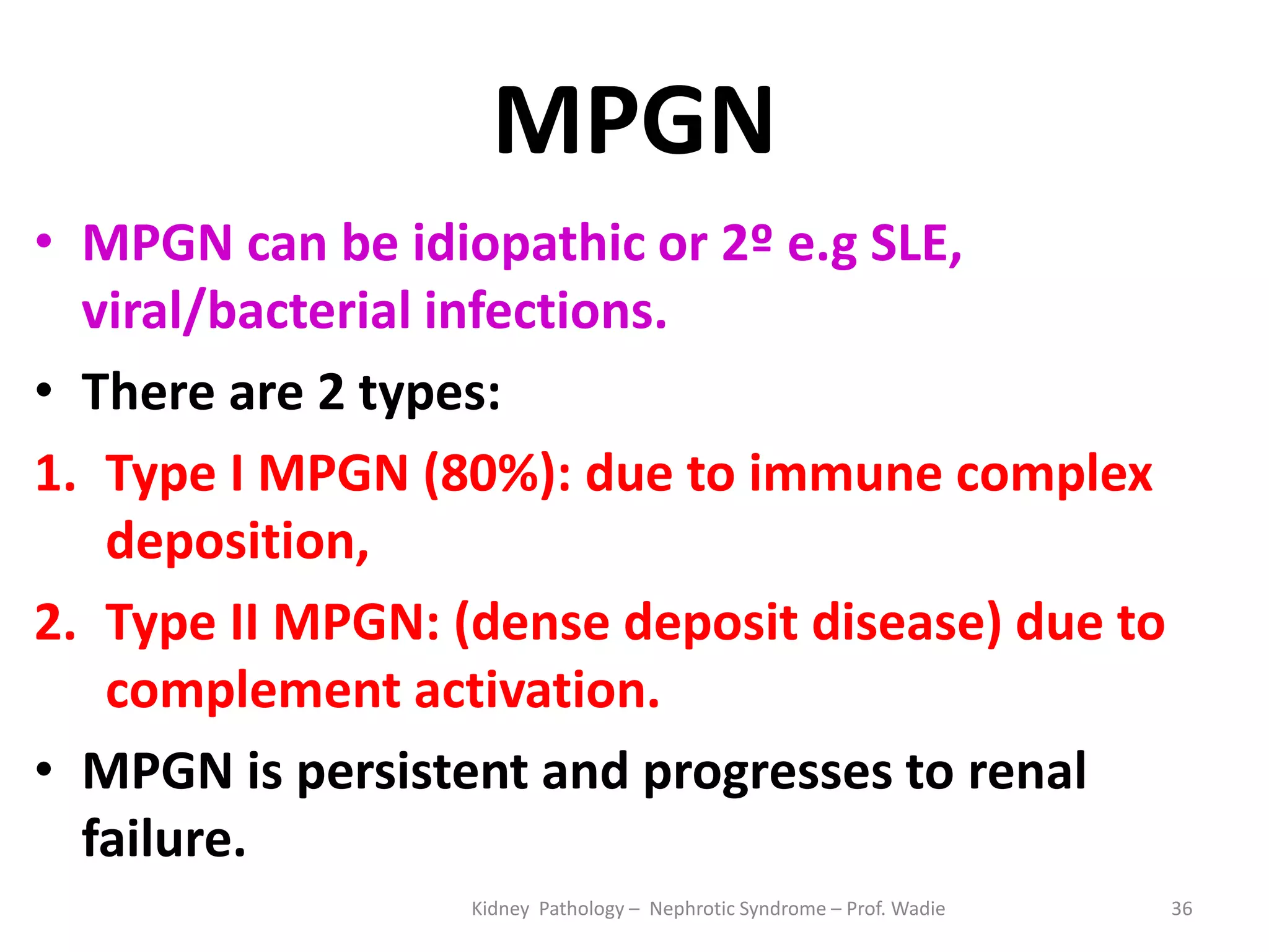 Renal pathology the nephrotic syndrome- prof wadie | PPTX