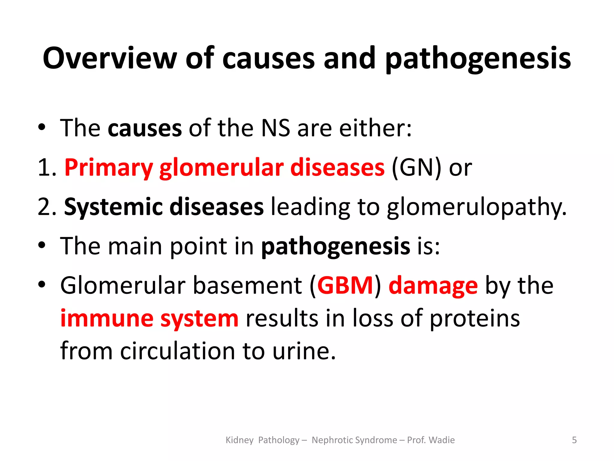 Renal pathology the nephrotic syndrome- prof wadie | PPTX