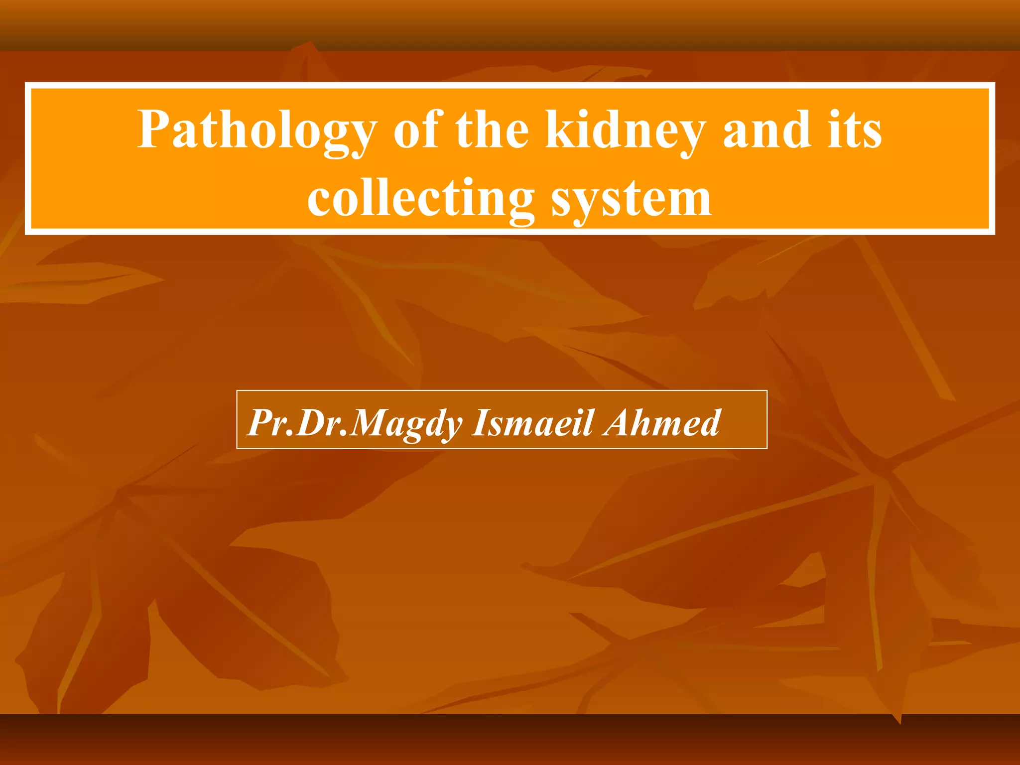 Renal pathology (dr magdy ismail) copy | PPT